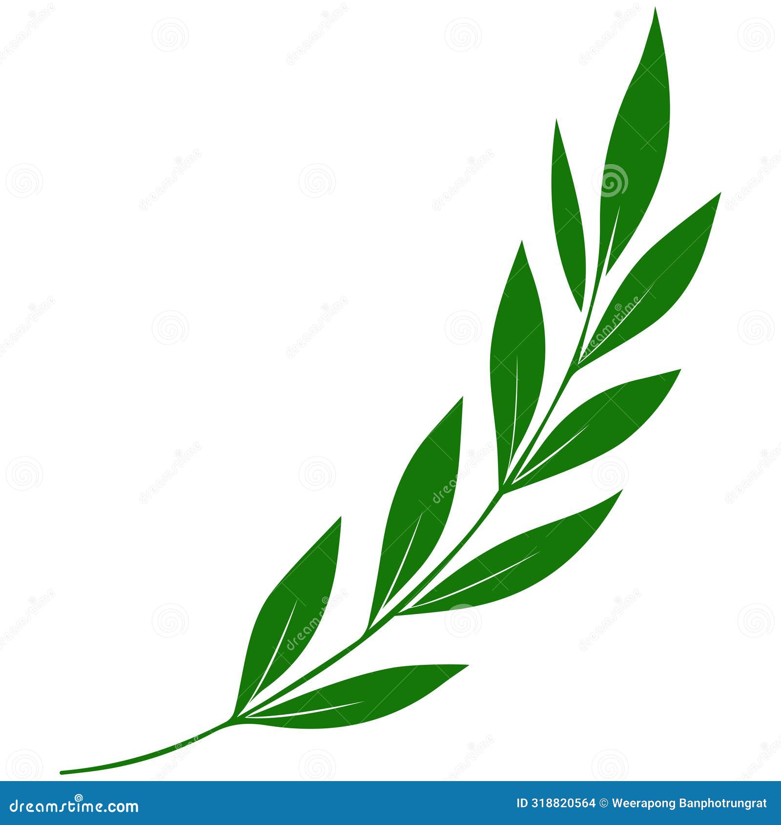 Leaf Frame, Decorative Element, Leaves Pattern Design for Decoration ...