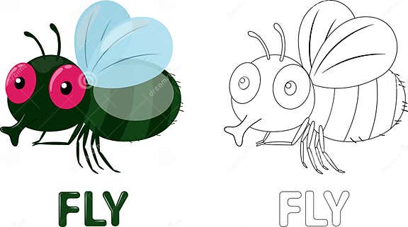 Cute Fly Cartoon Coloring Book, Hand Drawn Simple Lines Stock ...