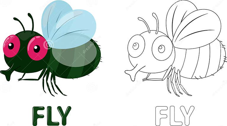 Cute Fly Cartoon Coloring Book, Hand Drawn Simple Lines Stock ...