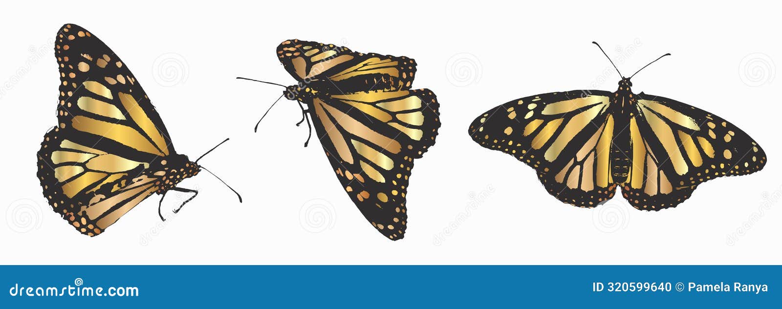 The Image Is A White, Porous Material With A Bumpy Surface. It Looks ...