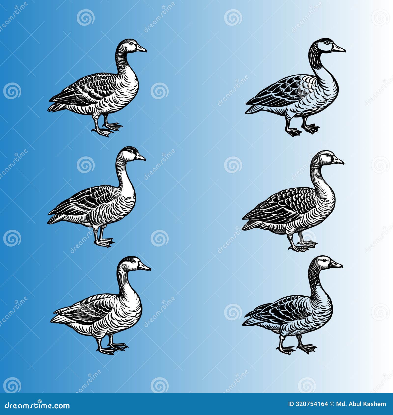 Asian Goose Stands Alone Vector Logo Icon Stock Vector - Illustration ...