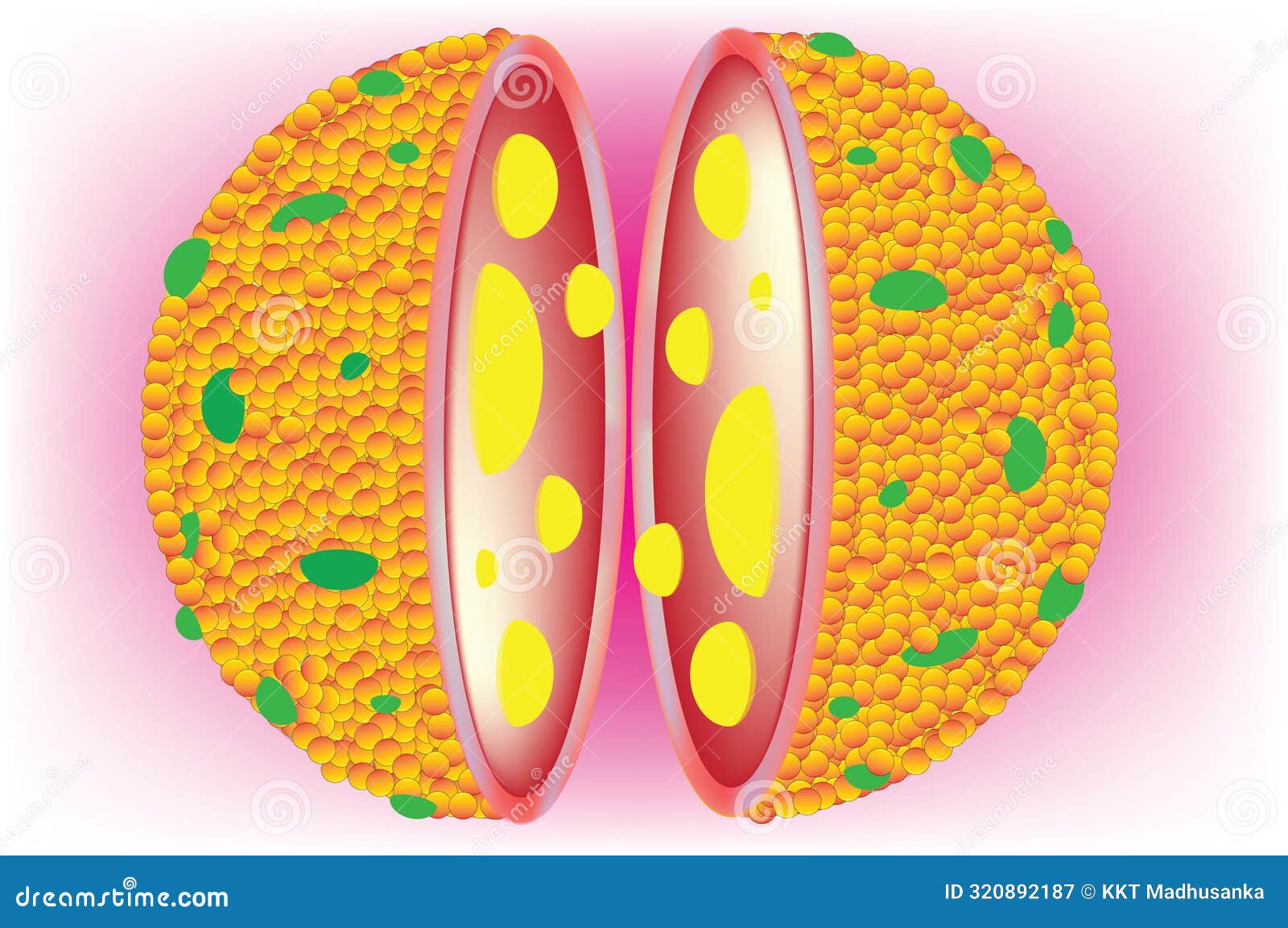 3D Lysosome stock vector. Illustration of treatment - 320892187