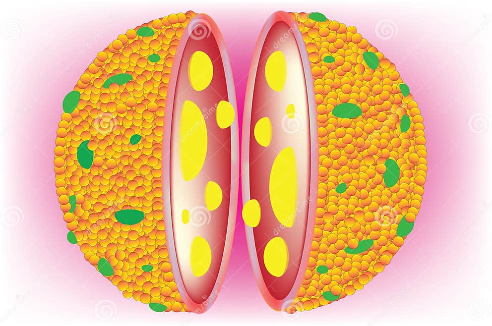 3D Lysosome stock vector. Illustration of treatment - 320892187
