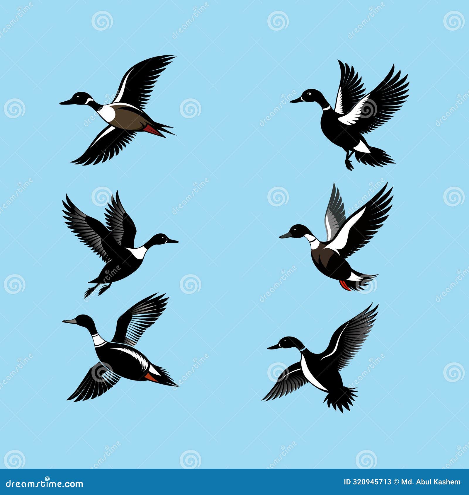 Vector Art of Pintail Duck Flying Stock Vector - Illustration of ...