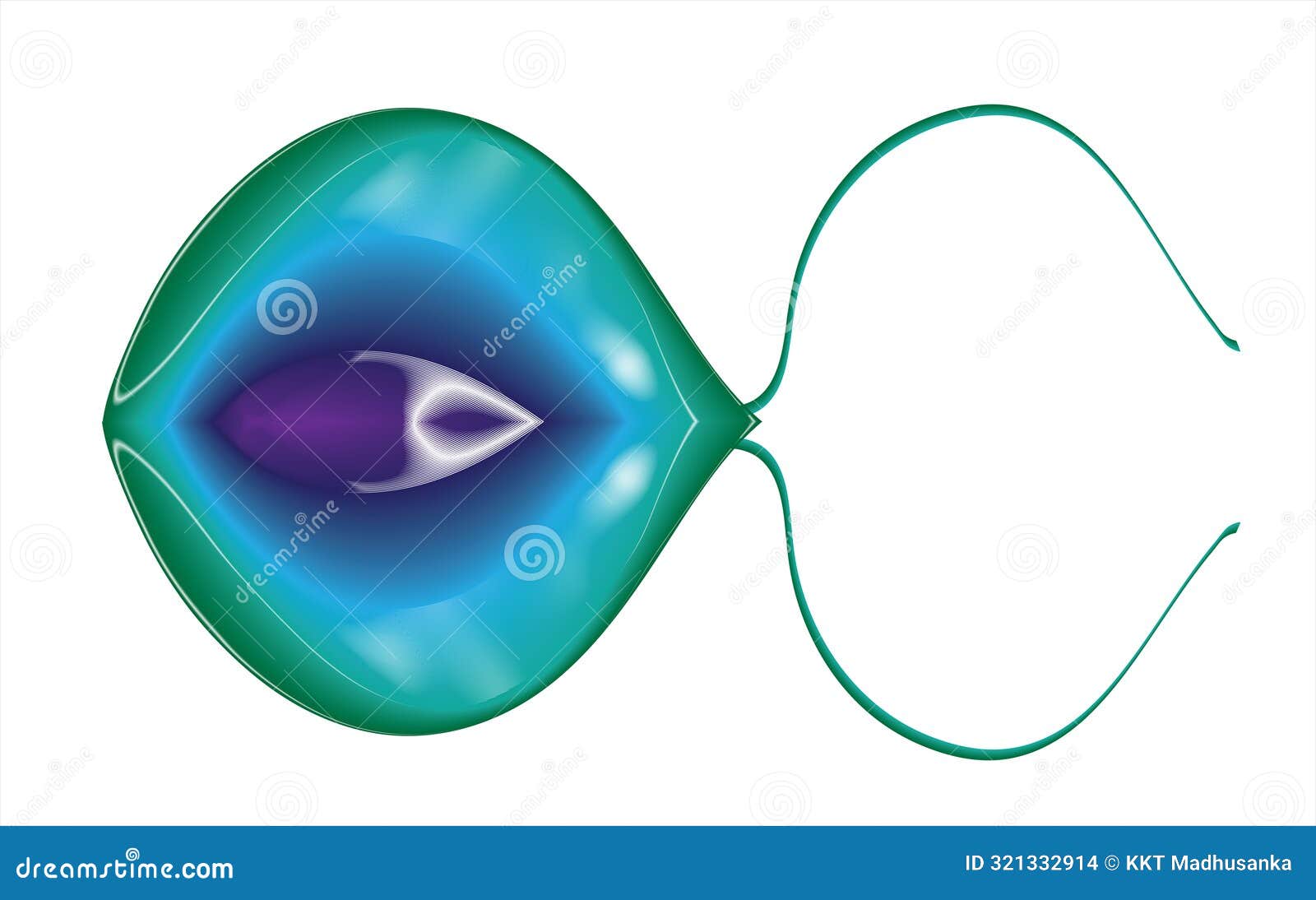 Protozoa Anatomy Vector Illustration | CartoonDealer.com #321332914