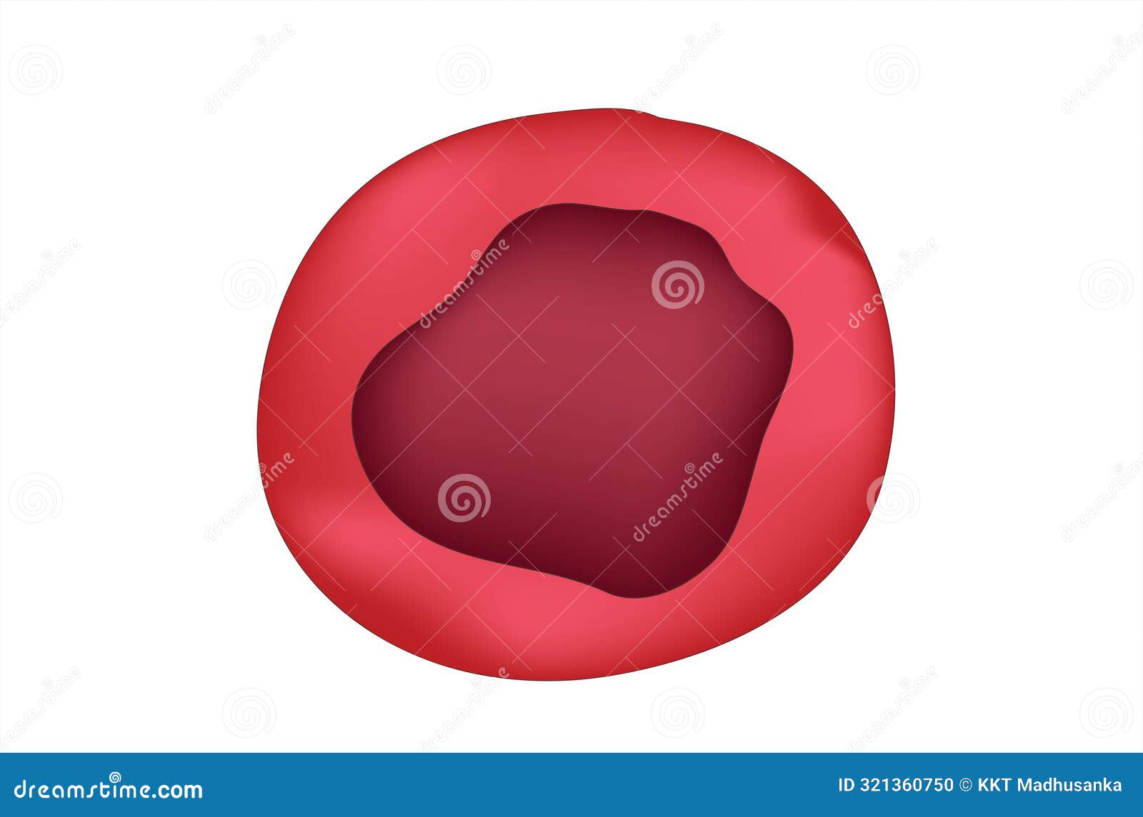 Deformed red blood cell stock vector. Illustration of healthy - 321360750
