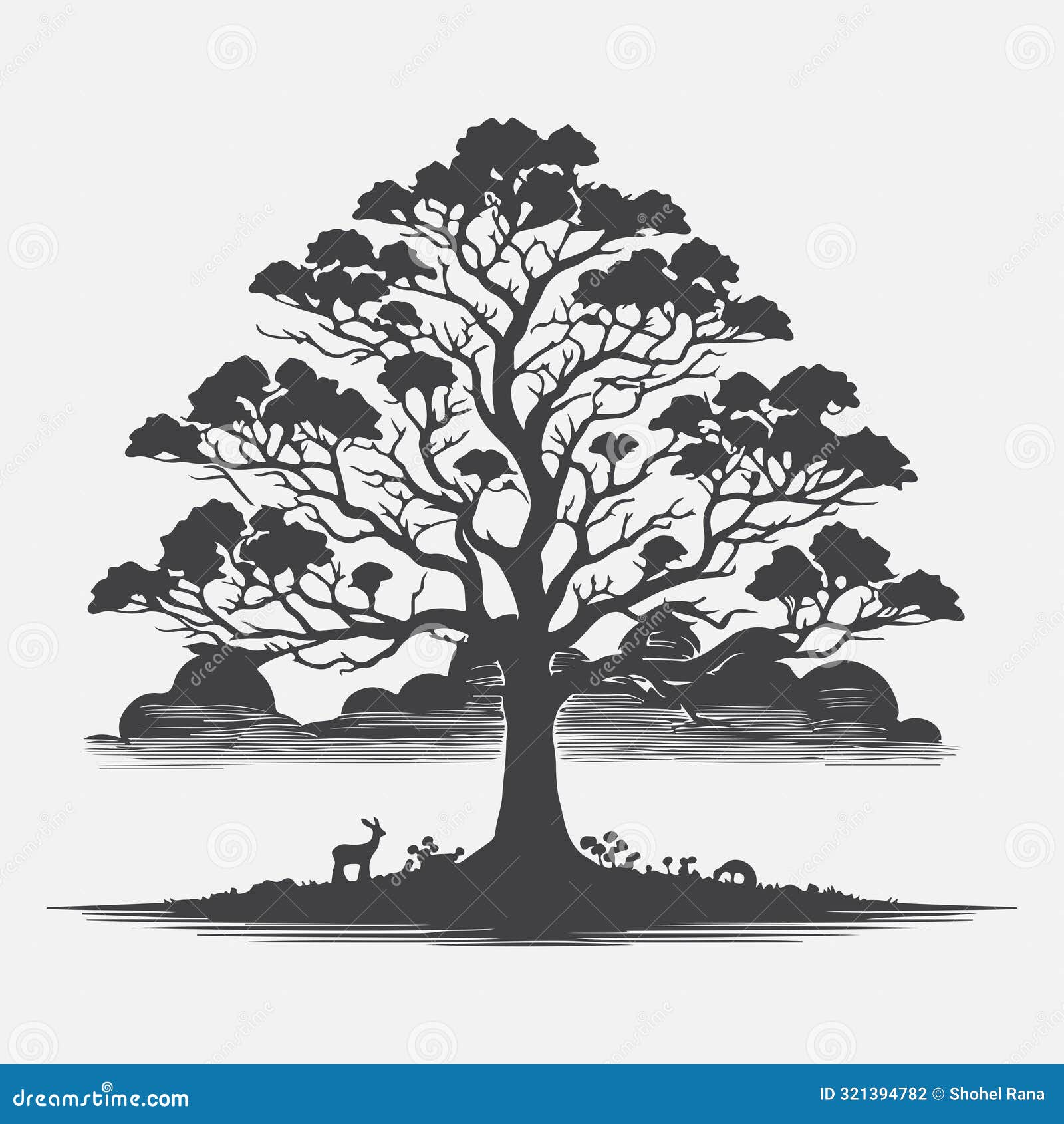 Majestic Pecan Tree Silhouette: Nature S Timeless Shadow Stock ...