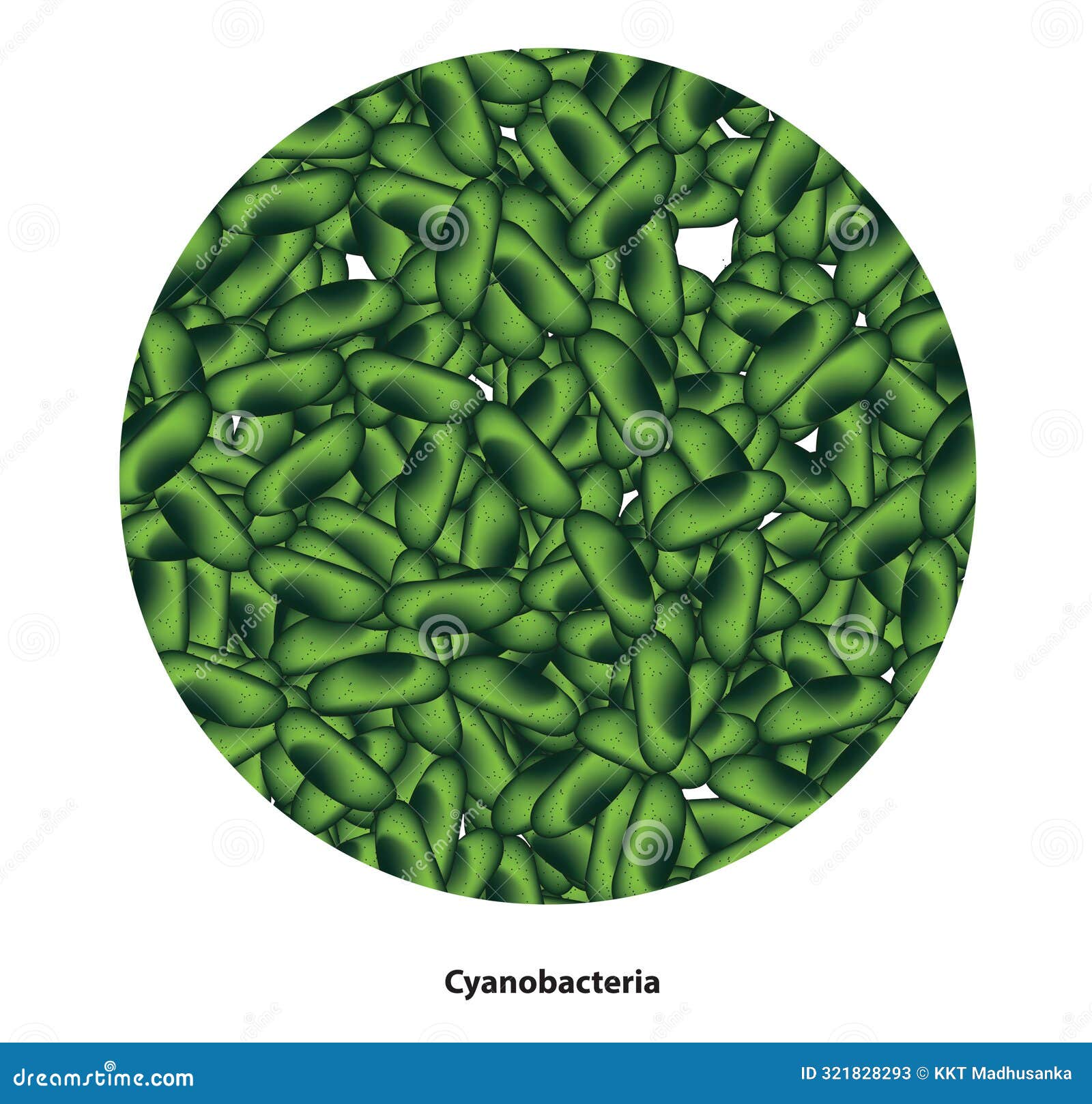 Cyanobacteria Cartoons, Illustrations & Vector Stock Images - 2135 ...