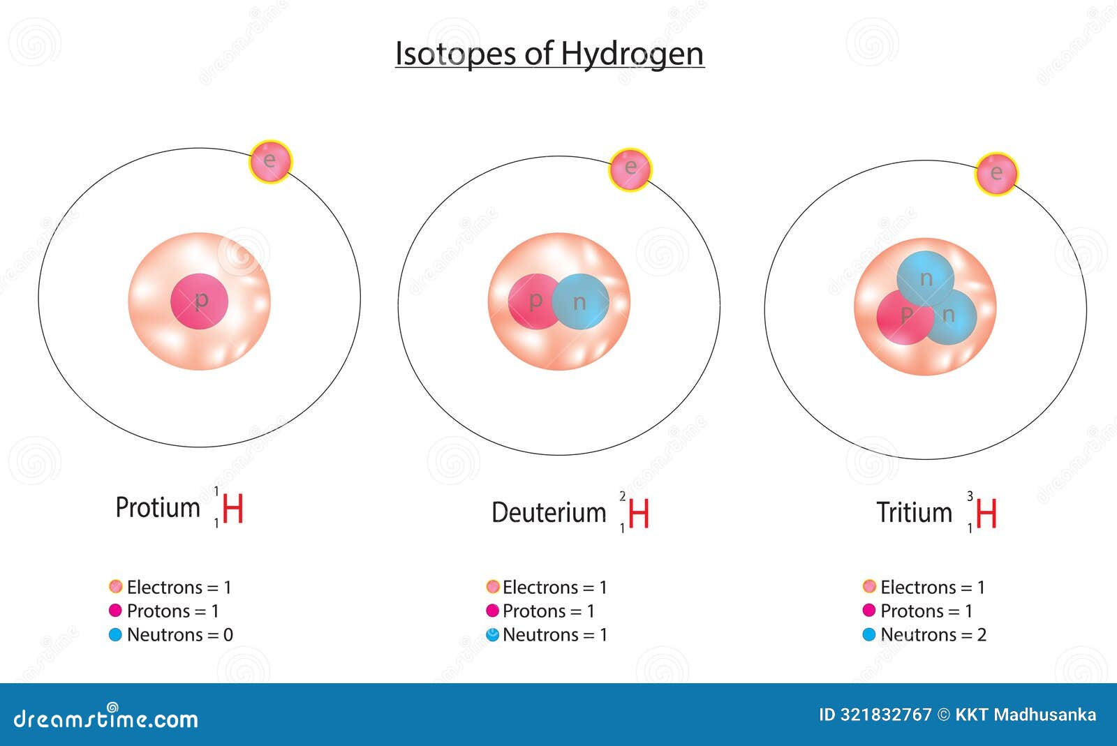 Isotopes Of Hydrogen Cartoon Vector | CartoonDealer.com #76118399