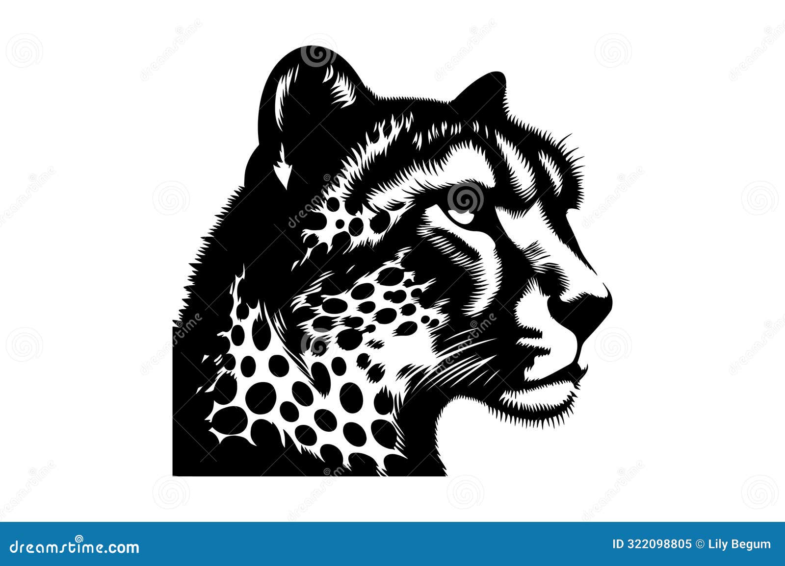 Cheetah Vector Art and Illustration Stock Vector - Illustration of ...