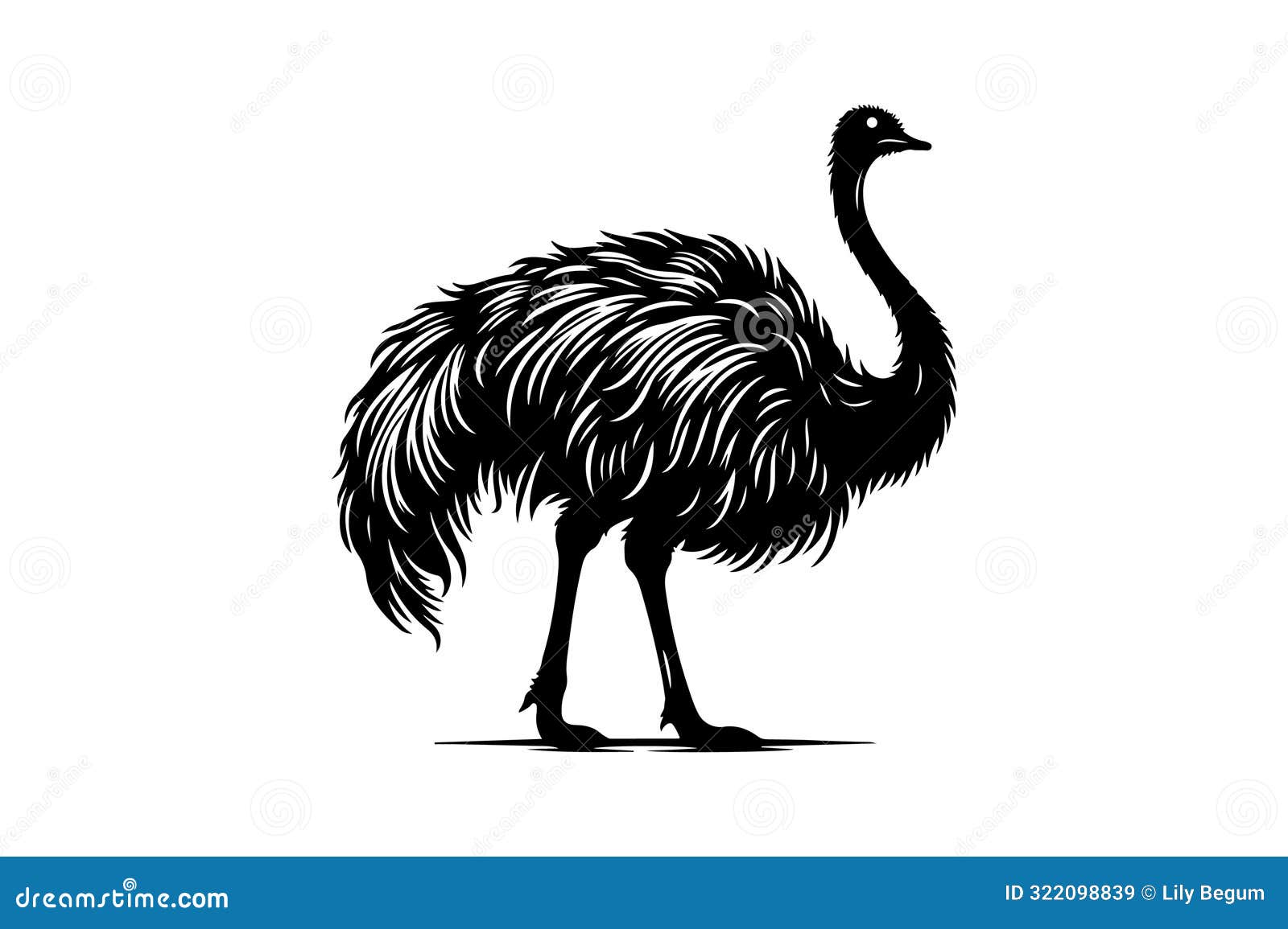 Ostrich Vector Art and Illustration Stock Vector - Illustration of ...