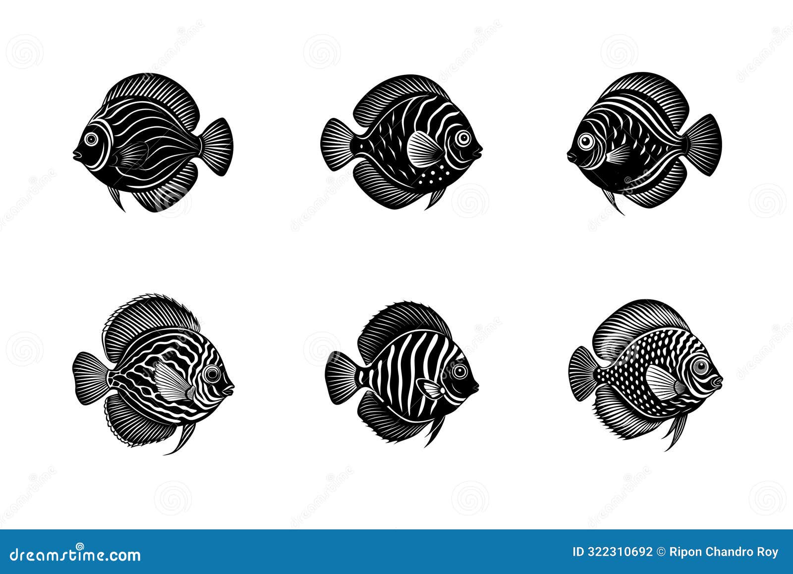 Discus Fish with White Background Stock Vector - Illustration of white ...