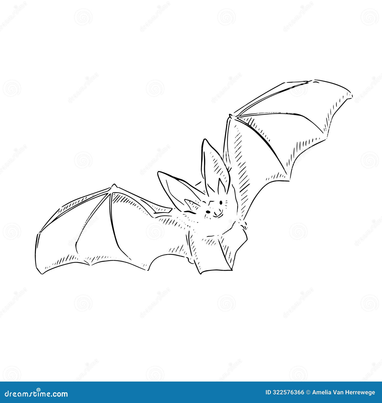 Flying bat drawing stock vector. Illustration of inspired - 322576366
