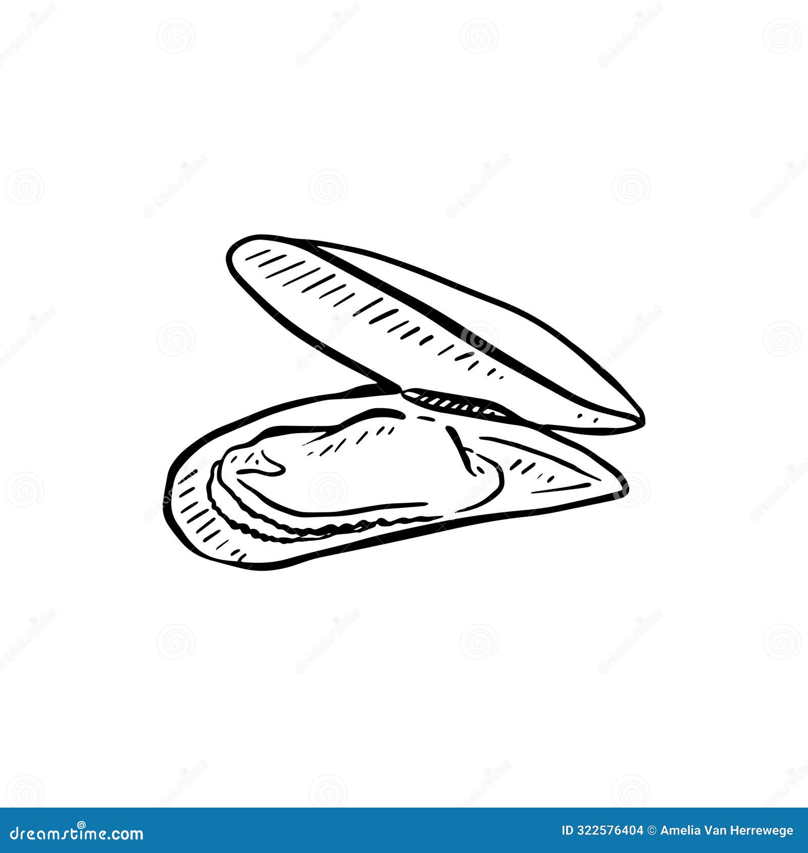 Mussel stock vector. Illustration of marine, line, rock - 322576404