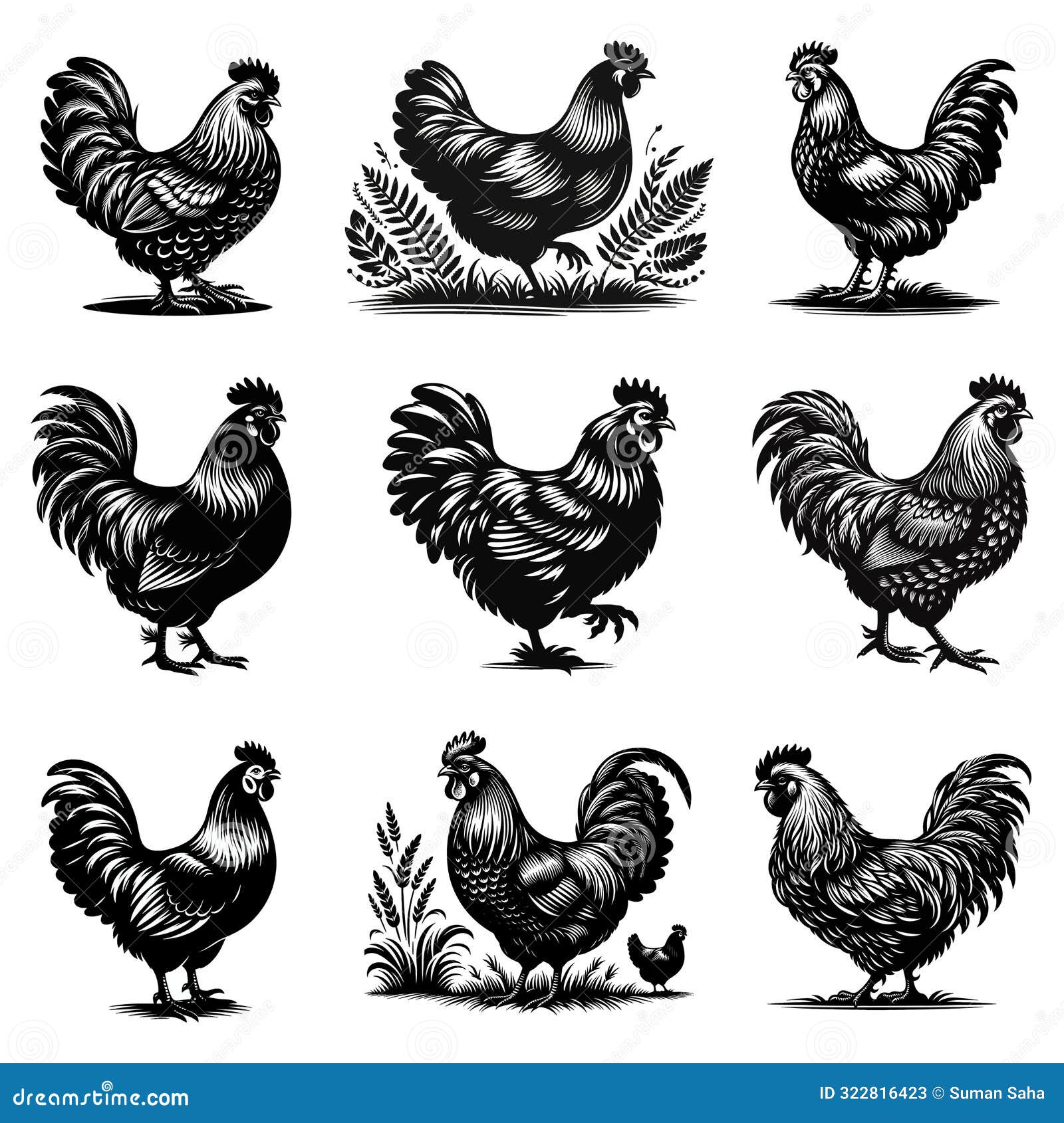 Set Of Silhouettes Of Broiler Roast Chicken Vector Design ...