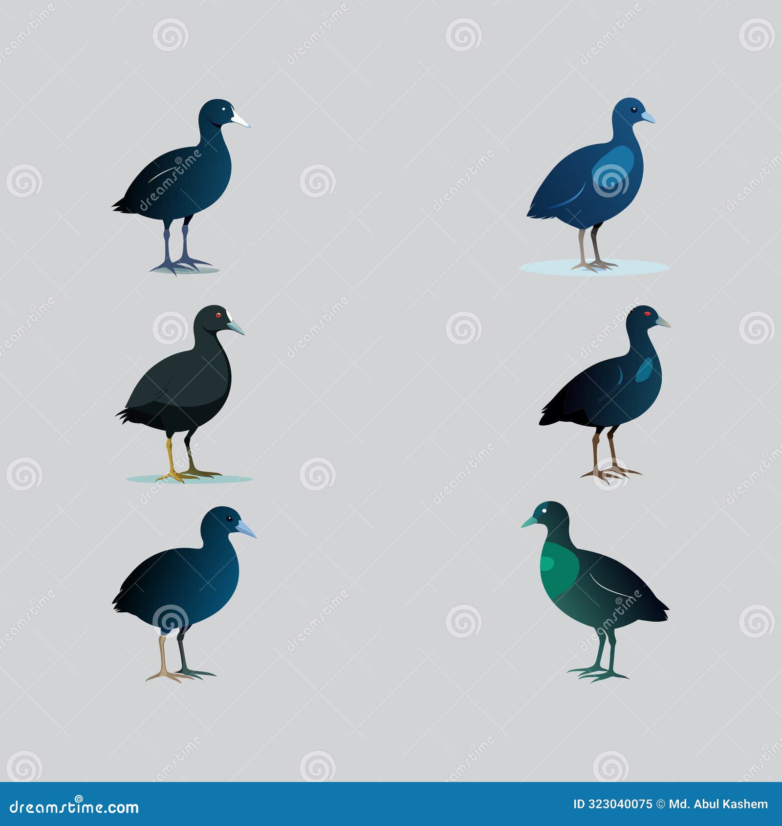 Cute Coot Birds Vector Illustration Stock Vector - Illustration of ...