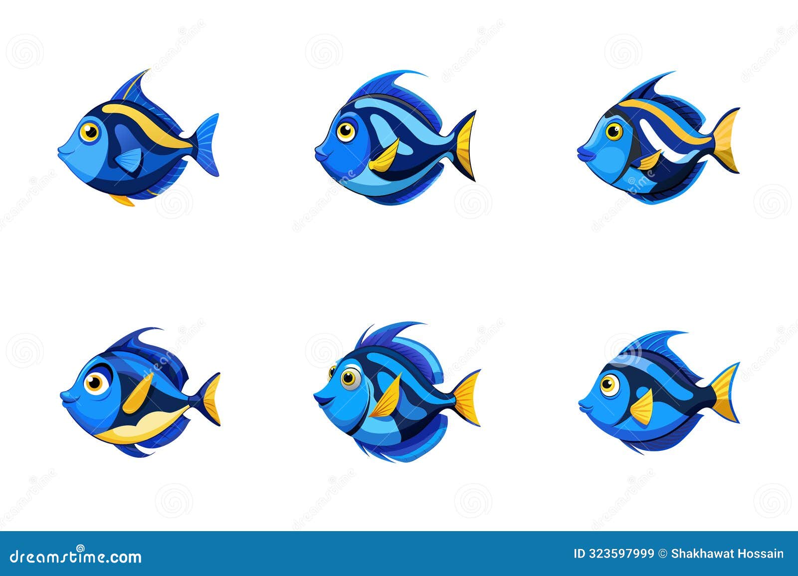 Blue tang white bagrund a stock vector. Illustration of aquarium ...