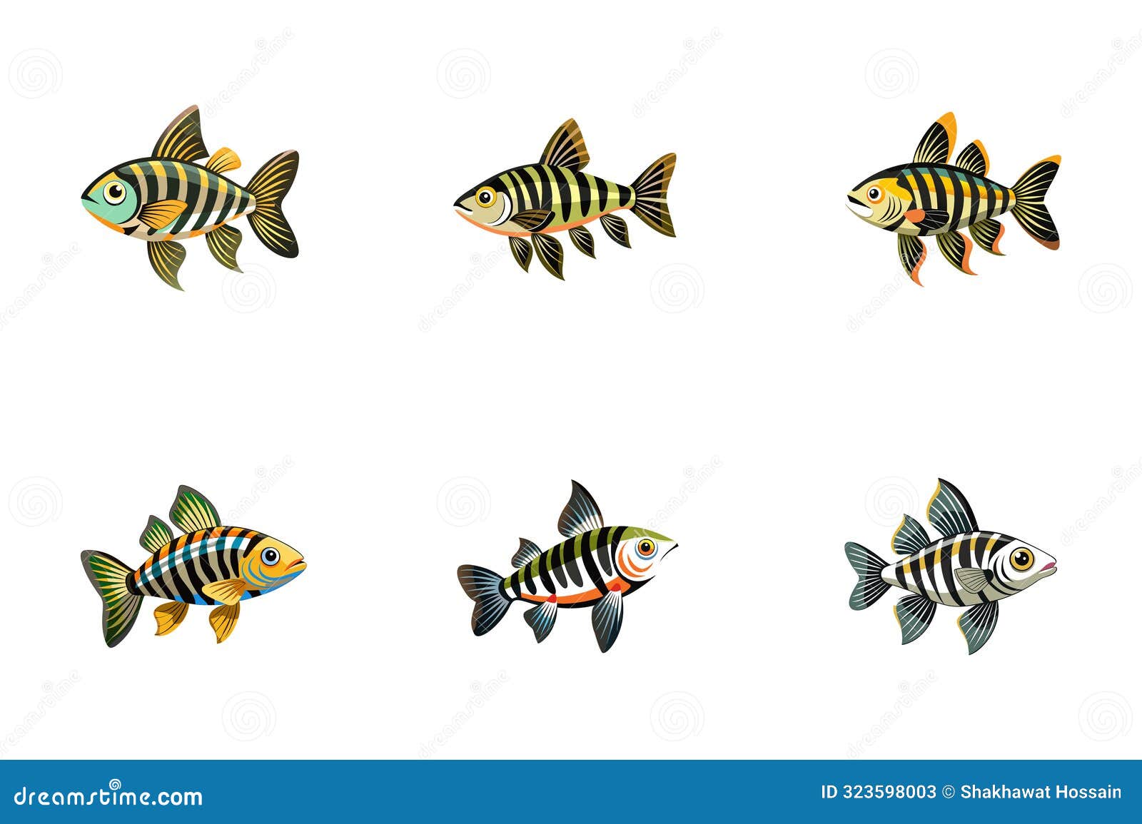Zebra Danio White Bagrund a Stock Vector - Illustration of facts, danio ...