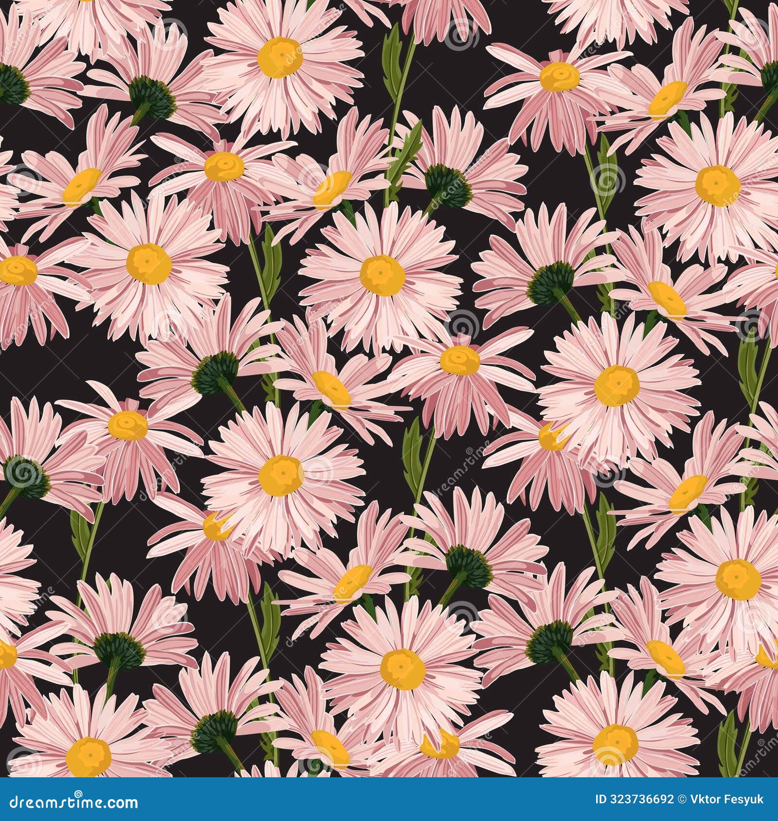 Chamomile Daisy Wildflower Background. Seamless Pattern on Black Stock ...