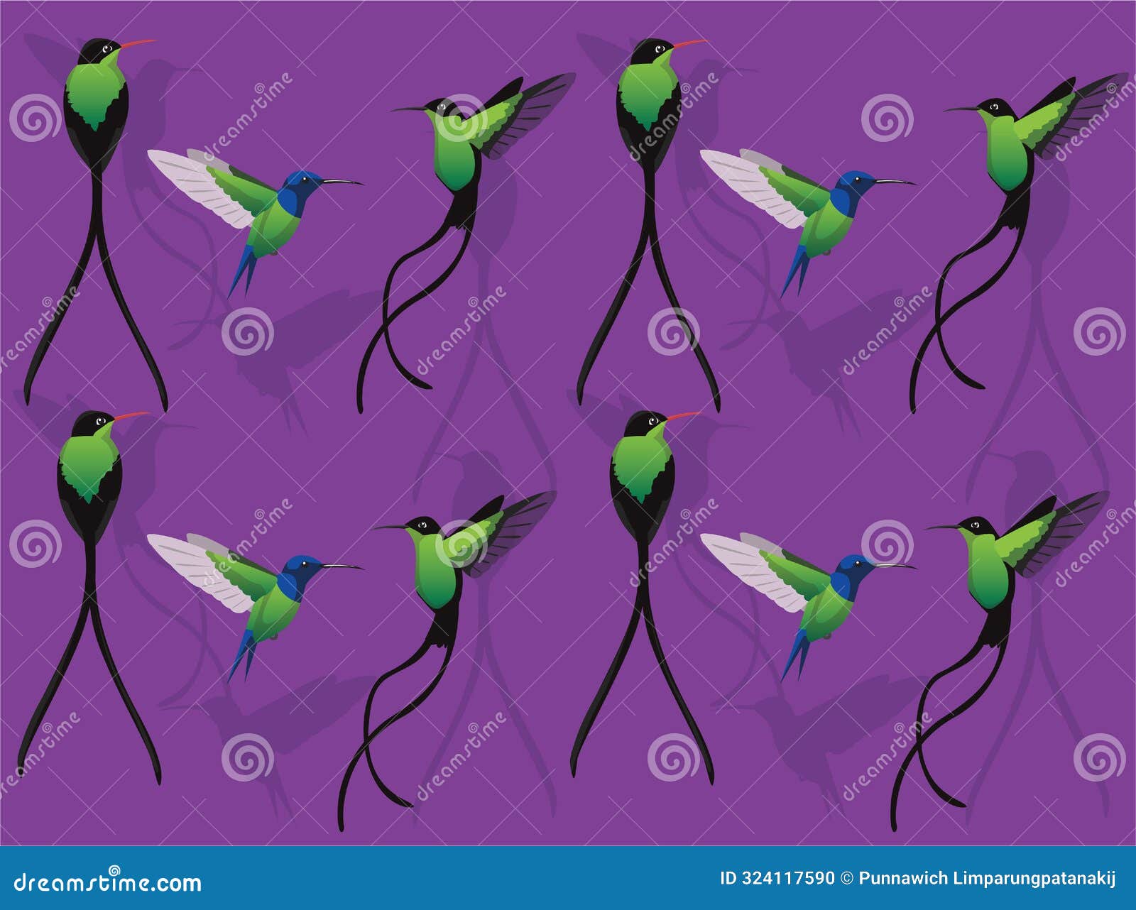 Bird Hummingbird Streamertail Cute Seamless Wallpaper Background Stock ...
