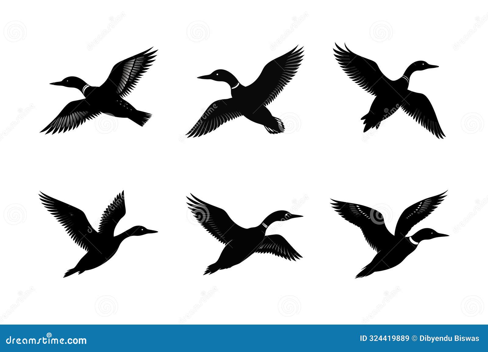 Flying Loon Color Silhouette Black Silhouette Stock Illustration ...