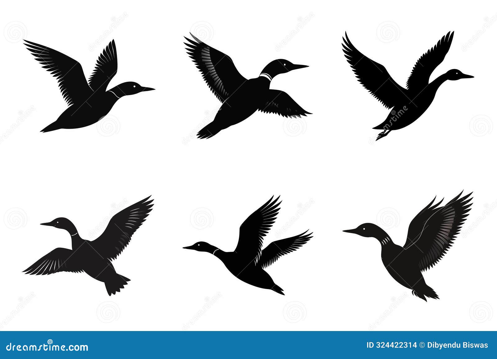 Flying Loon Color Silhouette Black Silhouette Stock Illustration ...