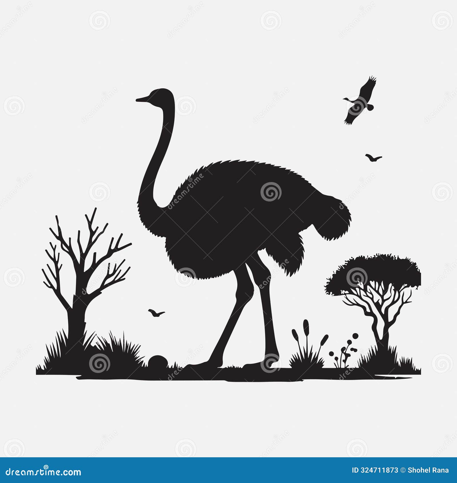 Ostrich Silhouette. Vector Illustration Isolated On The White ...