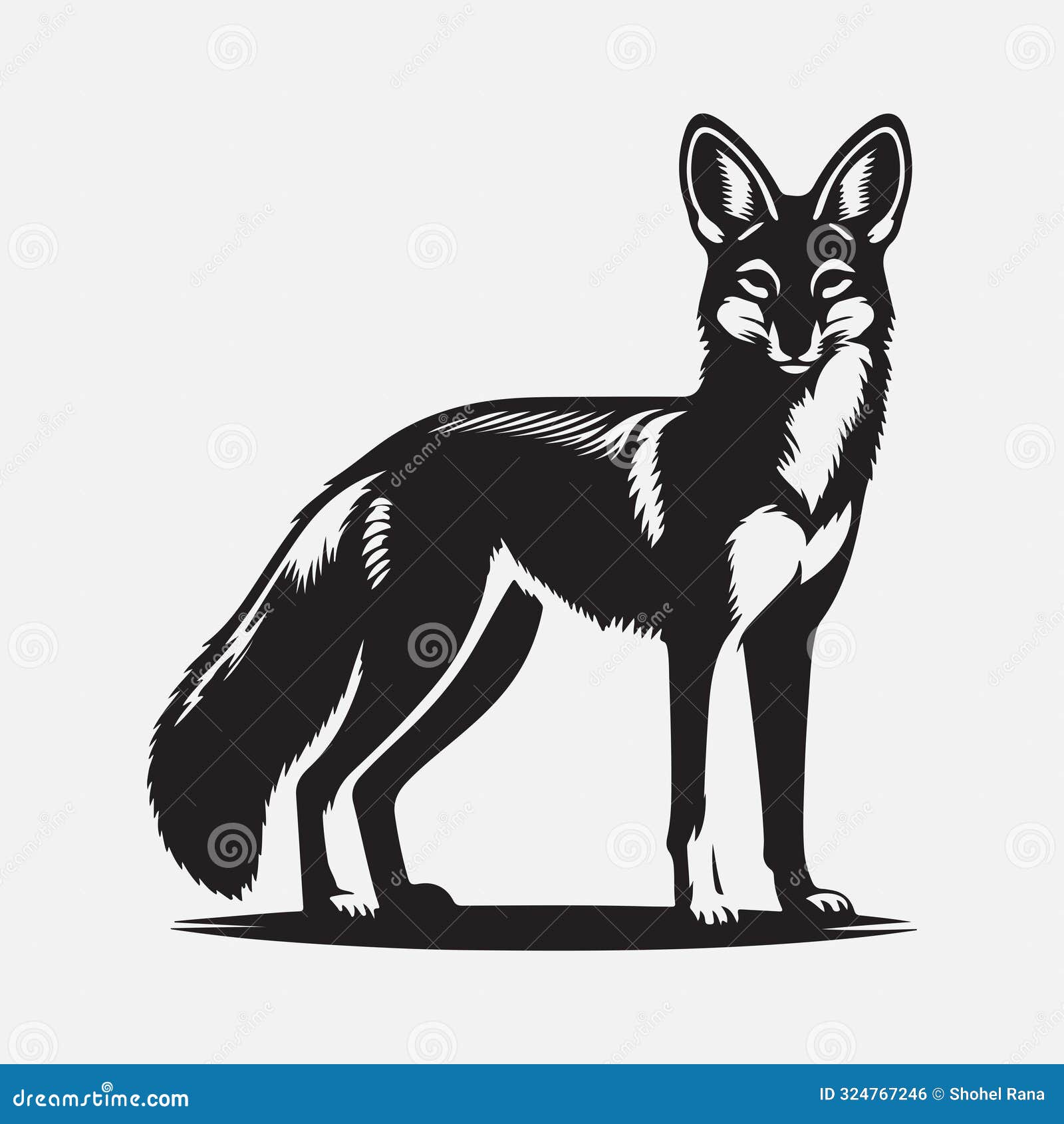 Print Jackal Clipart Vector Art Featuring High Quality Detailed ...
