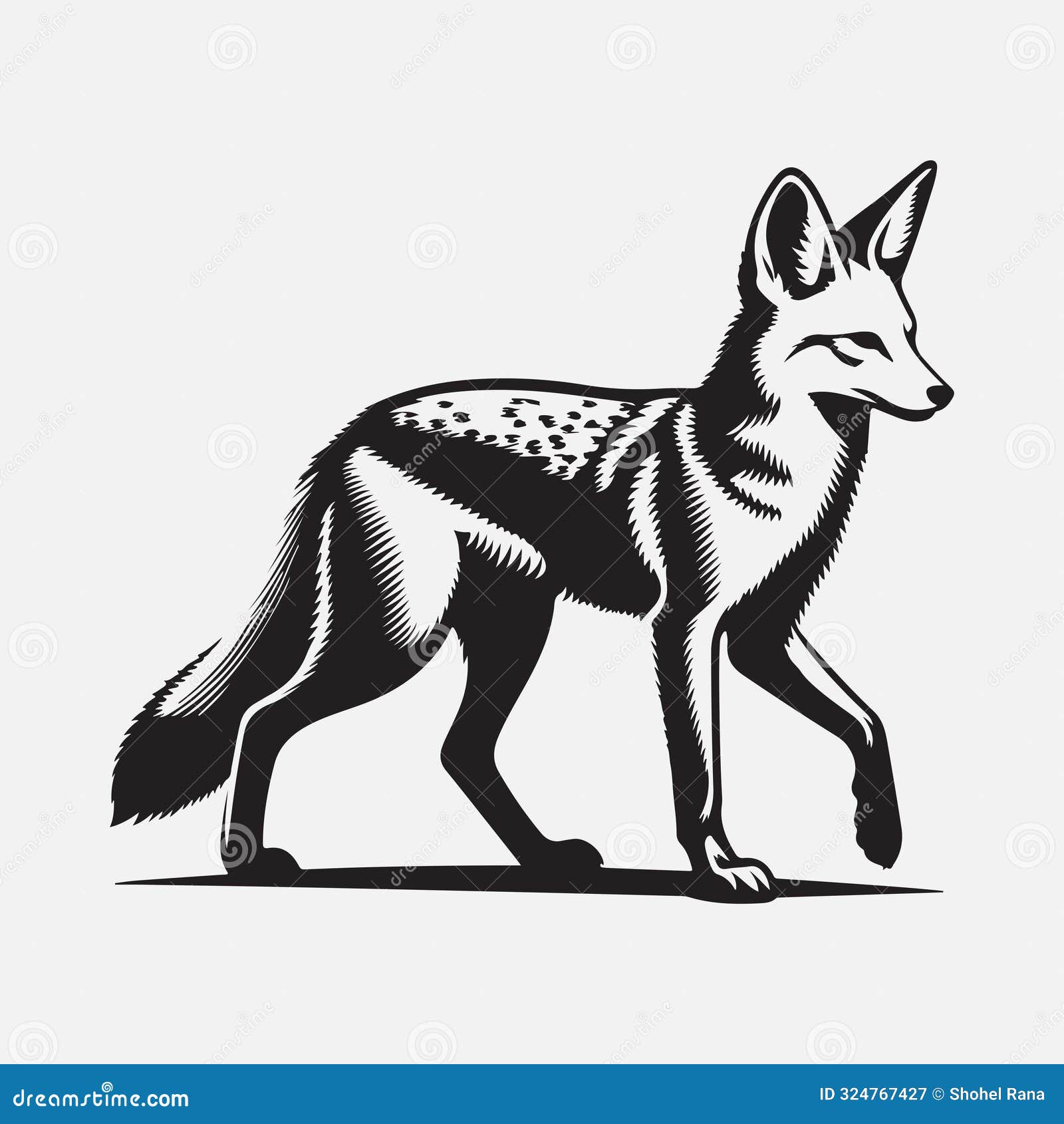 Print Jackal Clipart Vector Art Featuring High Quality Detailed ...