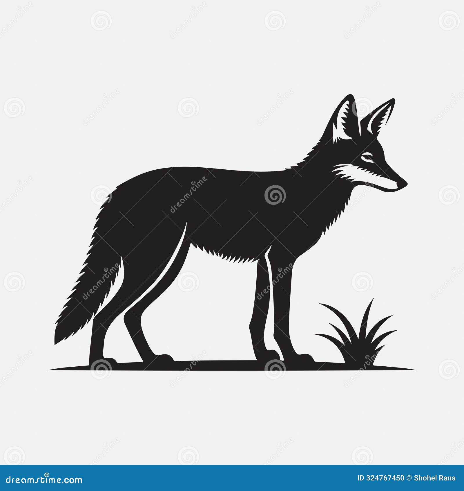 Print Jackal Clipart Vector Art Featuring High Quality Detailed ...