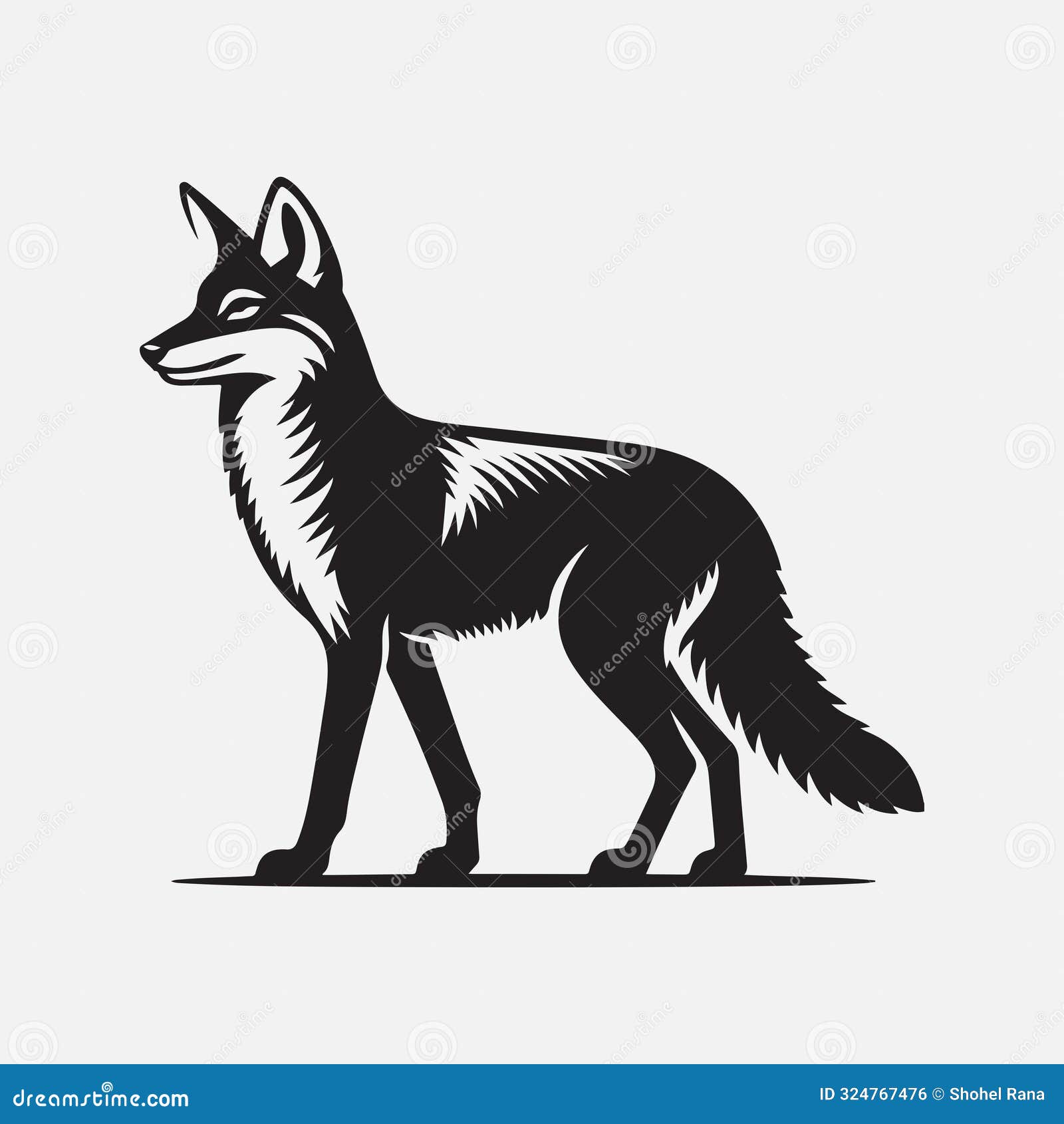 Print Jackal Clipart Vector Art Featuring High Quality Detailed ...
