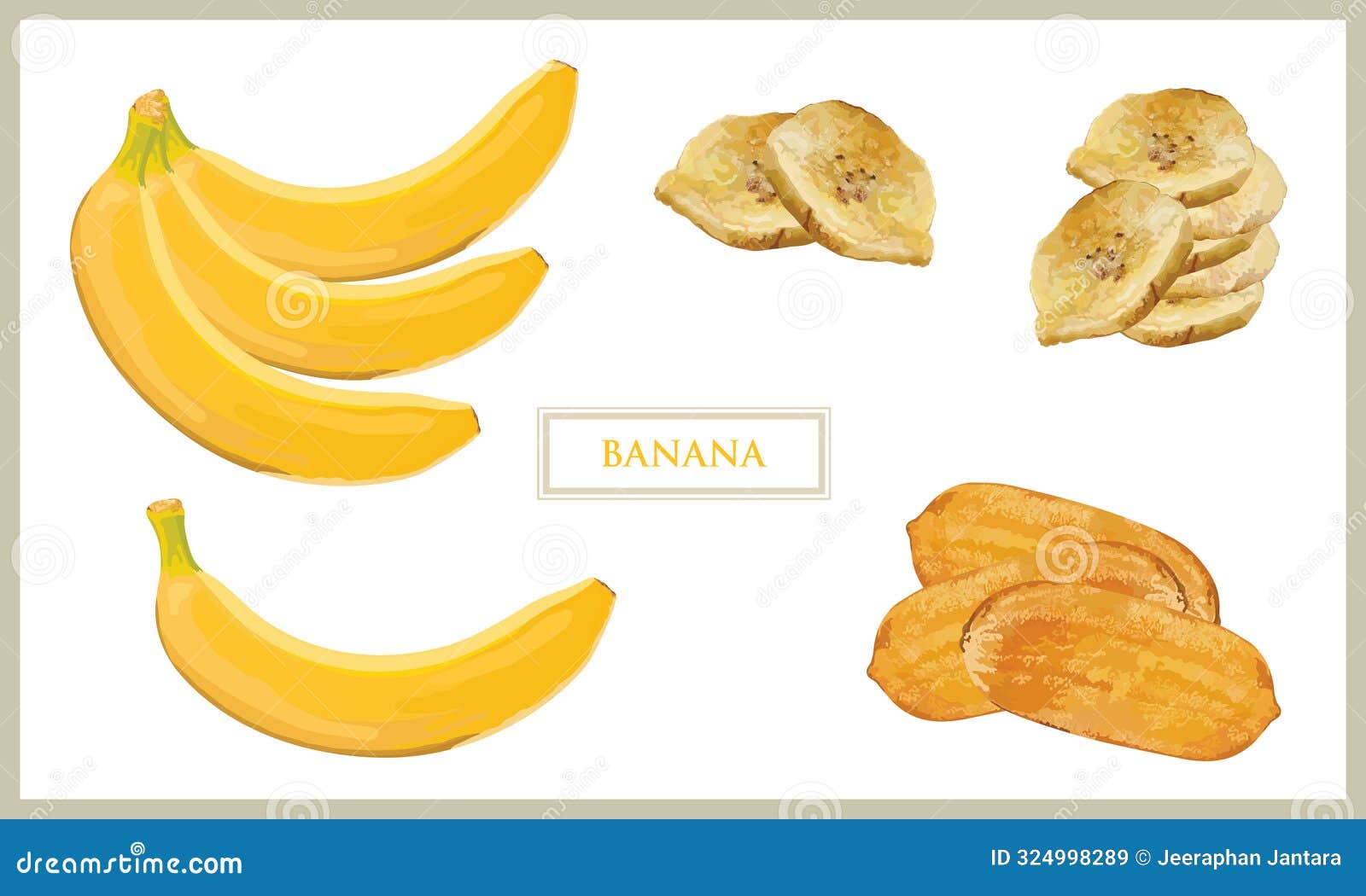 Banana Fruit Collection of Banana in Various Shapes and Sizes Stock ...