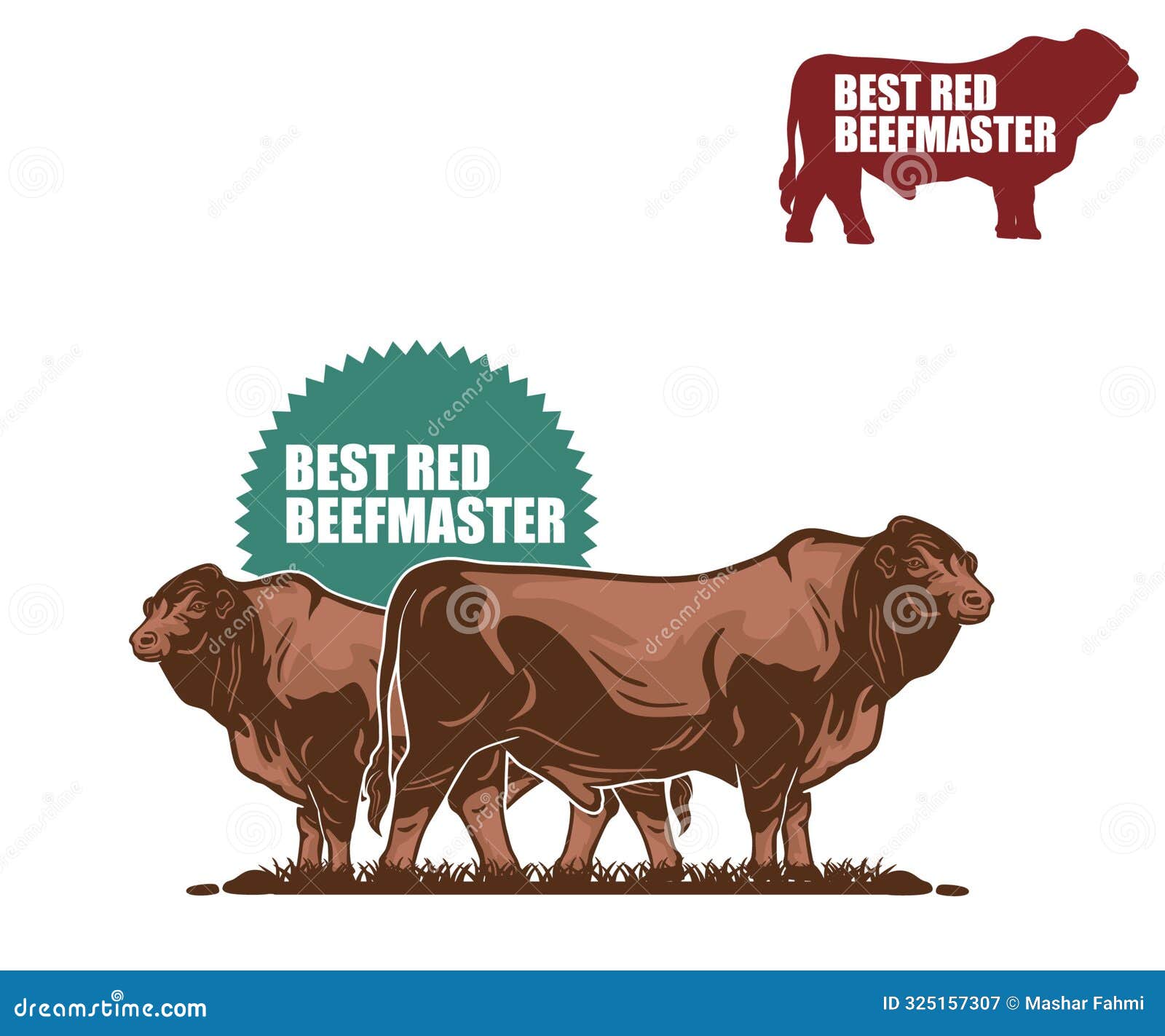 Red Beefmaster Cow Standing Logo Stock Illustration - Illustration of ...