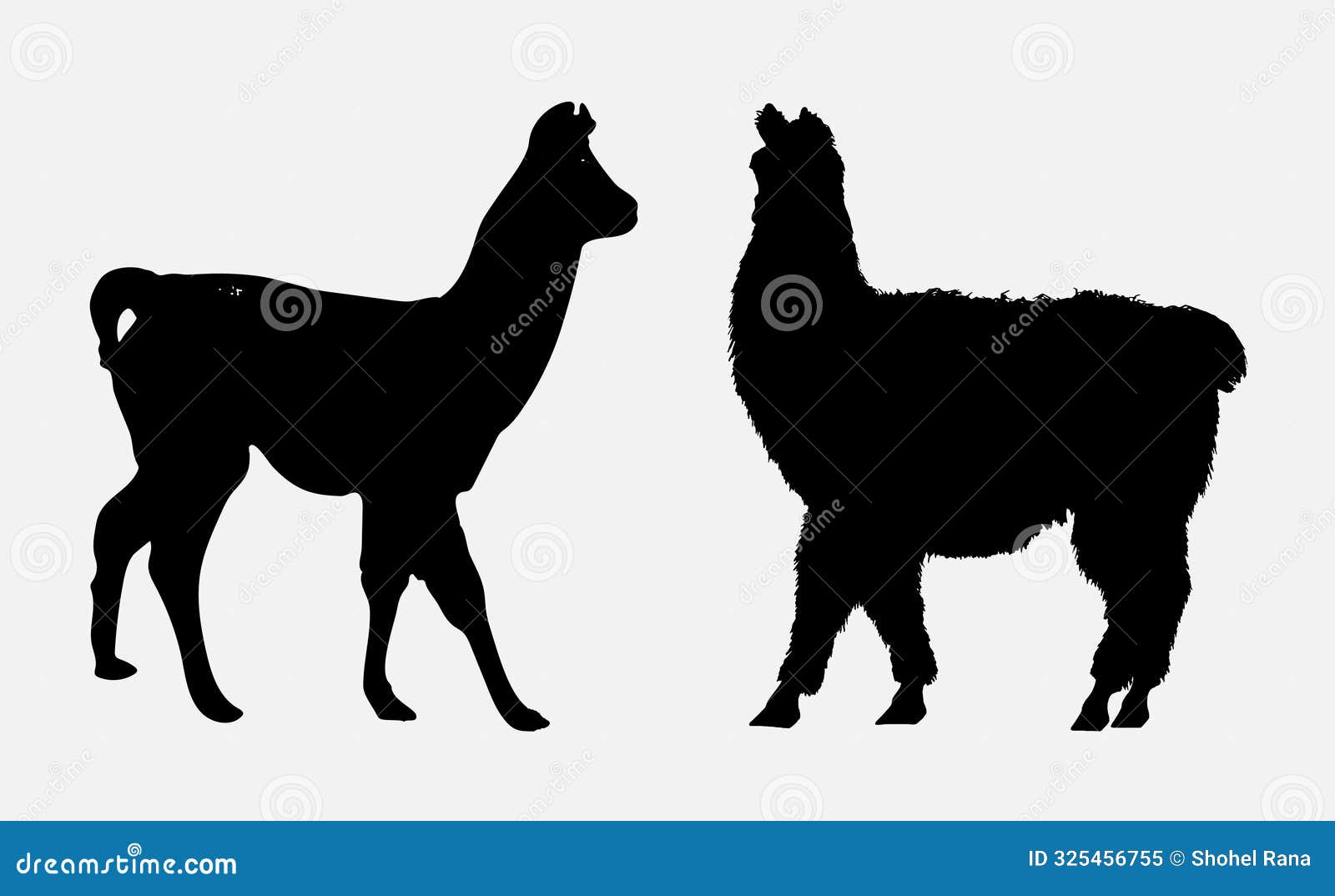 Print Premium Alpaca Silhouette Vector Art Collection Stock Vector ...