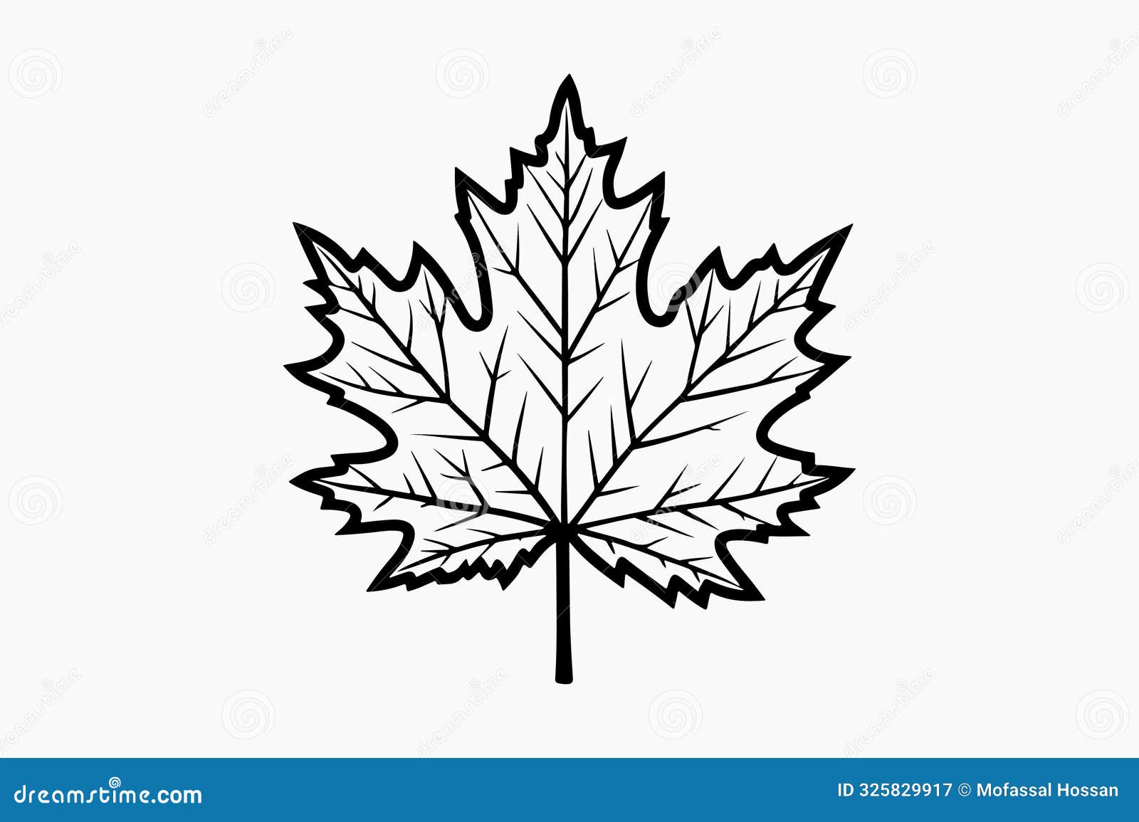 Monochrome Maple Leaf Vector Outline Illustration 1 Stock Vector ...