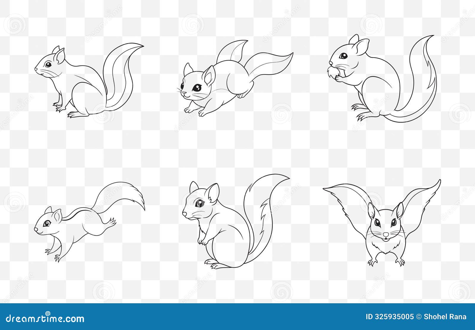 Print Comprehensive Collection of Detailed Flying Squirrel Line Art ...