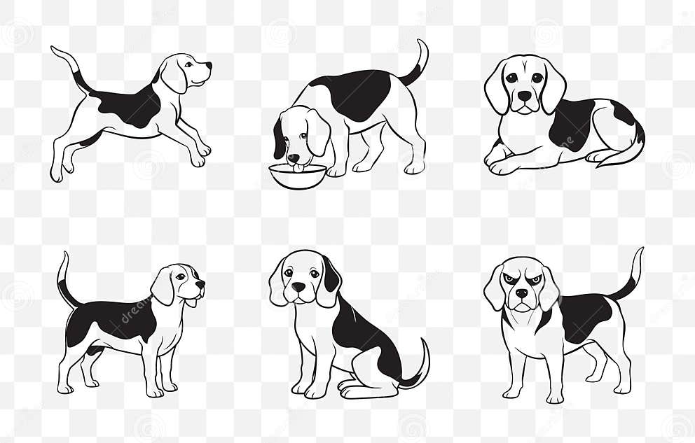 Print Ultimate Beagle Line Art Vector Set for Stunning Designs Stock ...