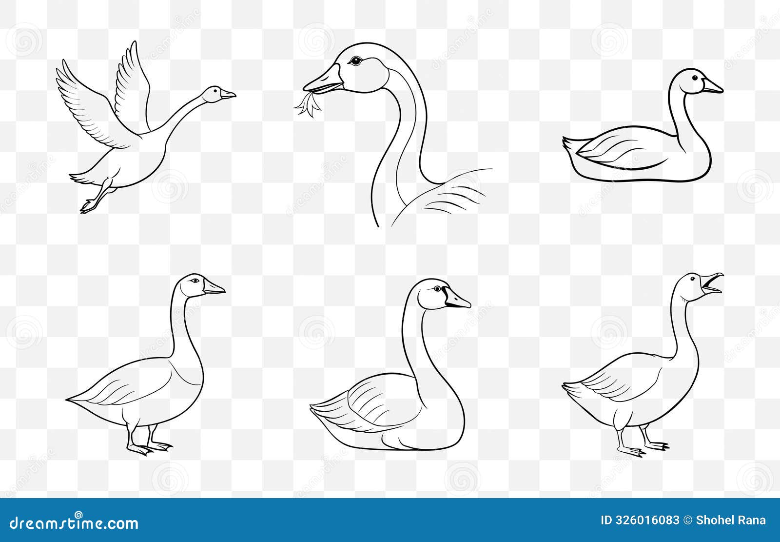 Collection of Intricate and Elegant Goose Line Art Vector Illustrations ...