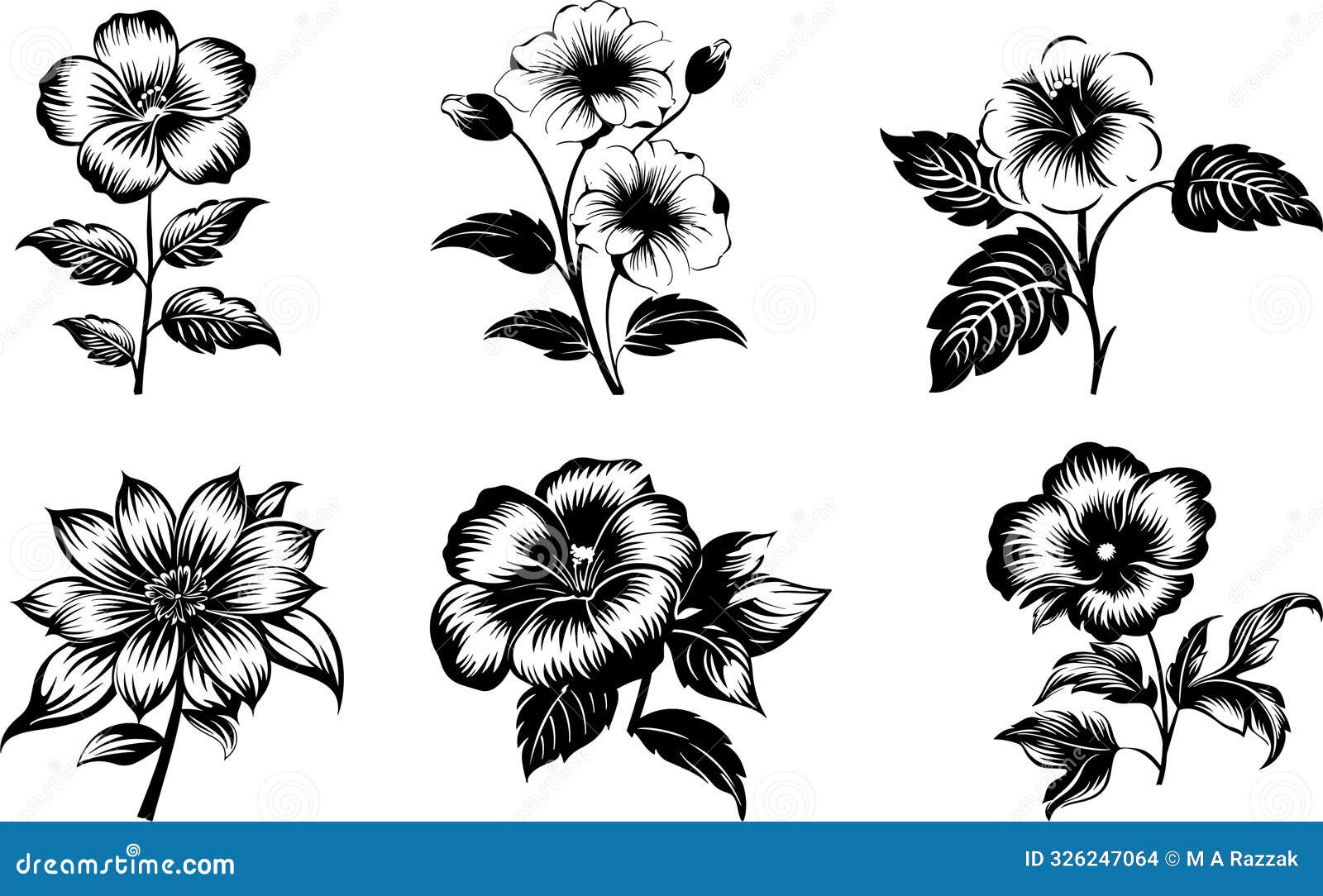Blooming Flower Vector Image Illustration Stock Illustration ...