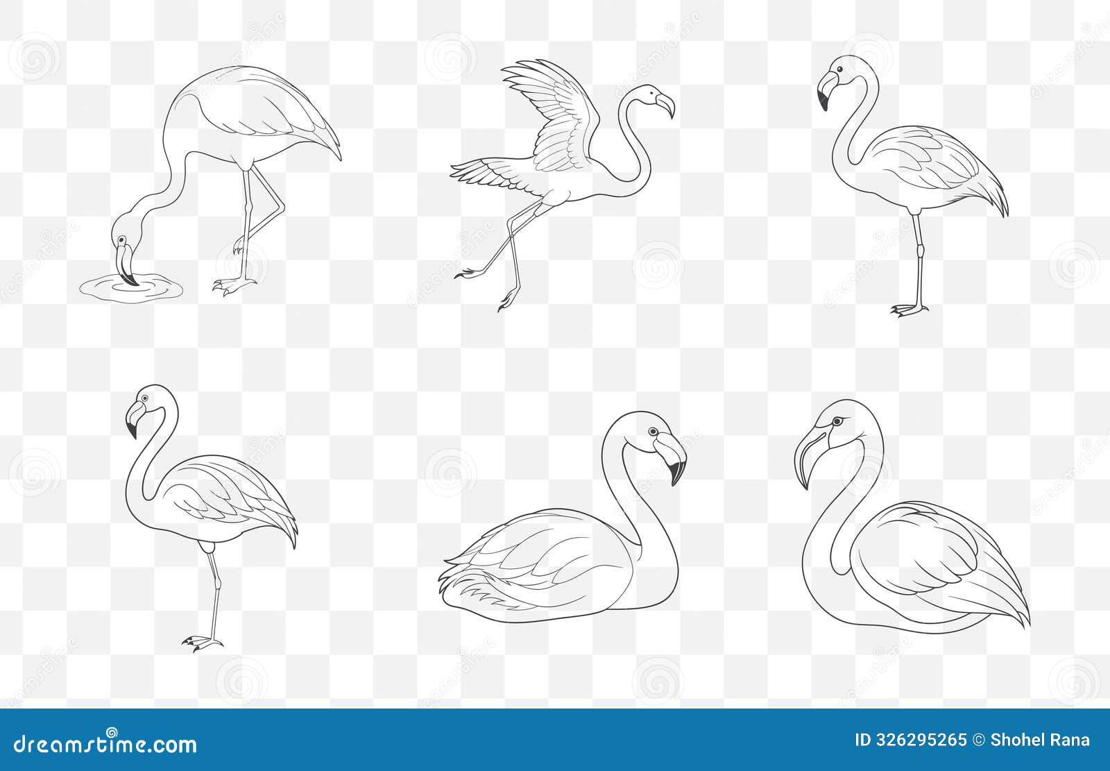 Print Elegant Flamingo Line Art Vector Set for Creative Designs and ...