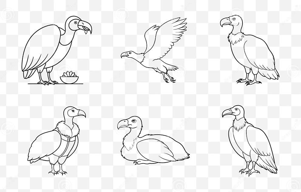Print Vulture Line Art Vector Set Collection Featuring Elegant and ...