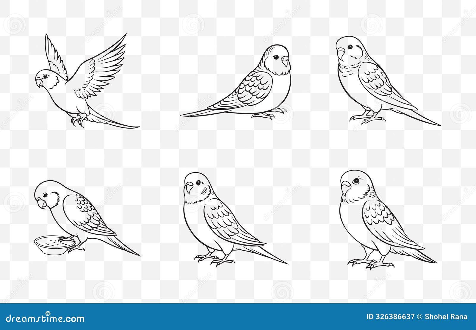 Print Comprehensive Merlin Line Art Vector Set Detailed Illustrations ...