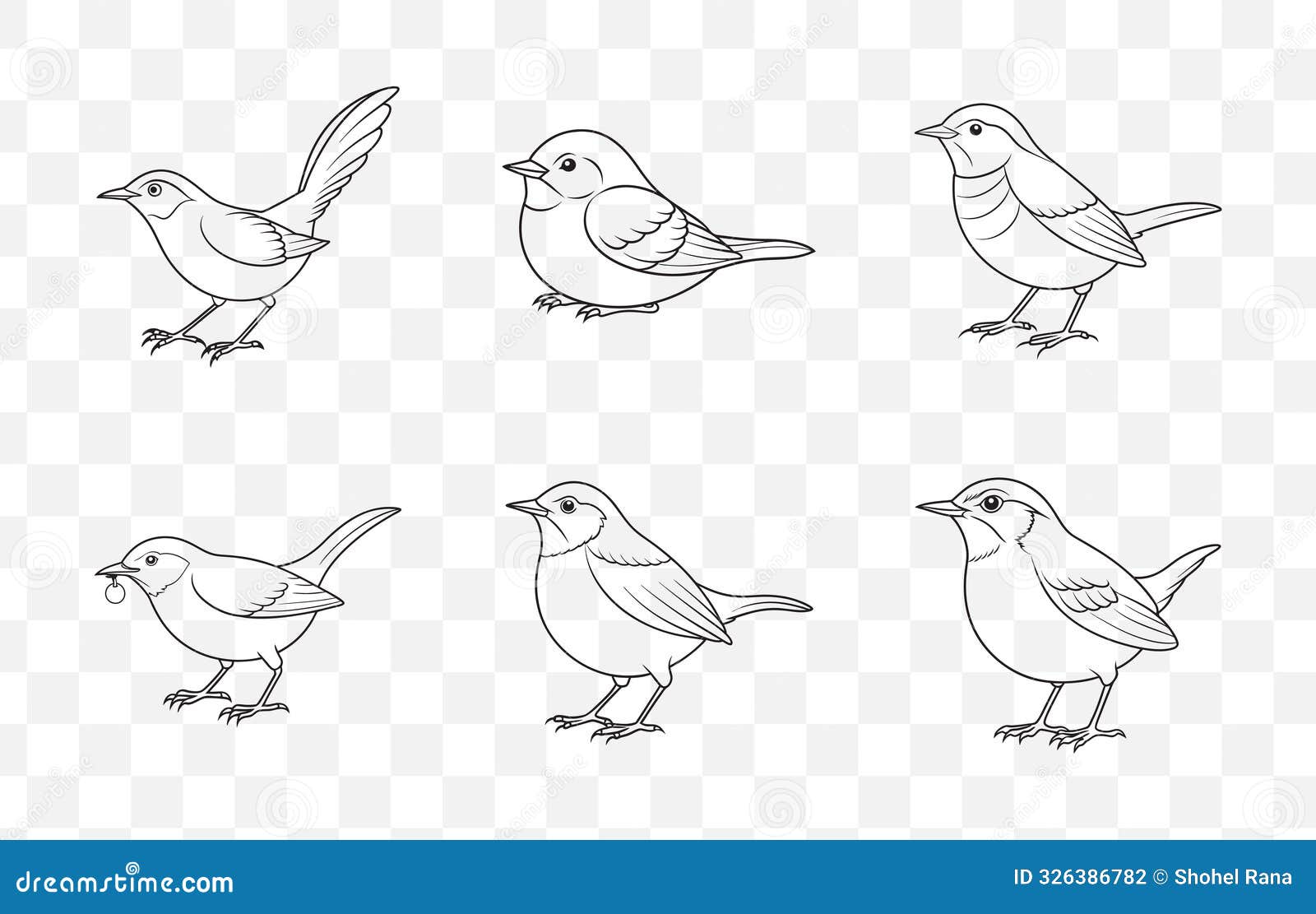 Print Comprehensive Wren Line Art Vector Set Featuring Detailed Bird ...