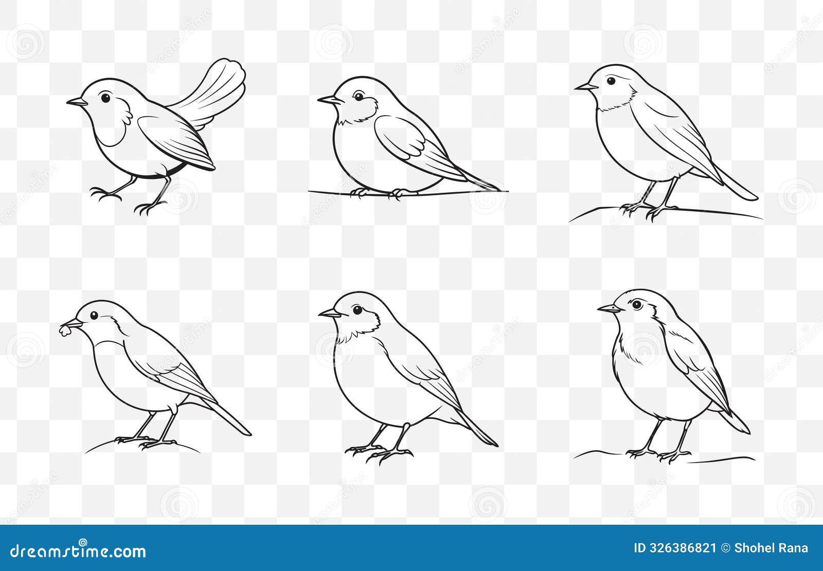 Print Robin Line Art Vector Set with Detailed and Elegant Designs for ...