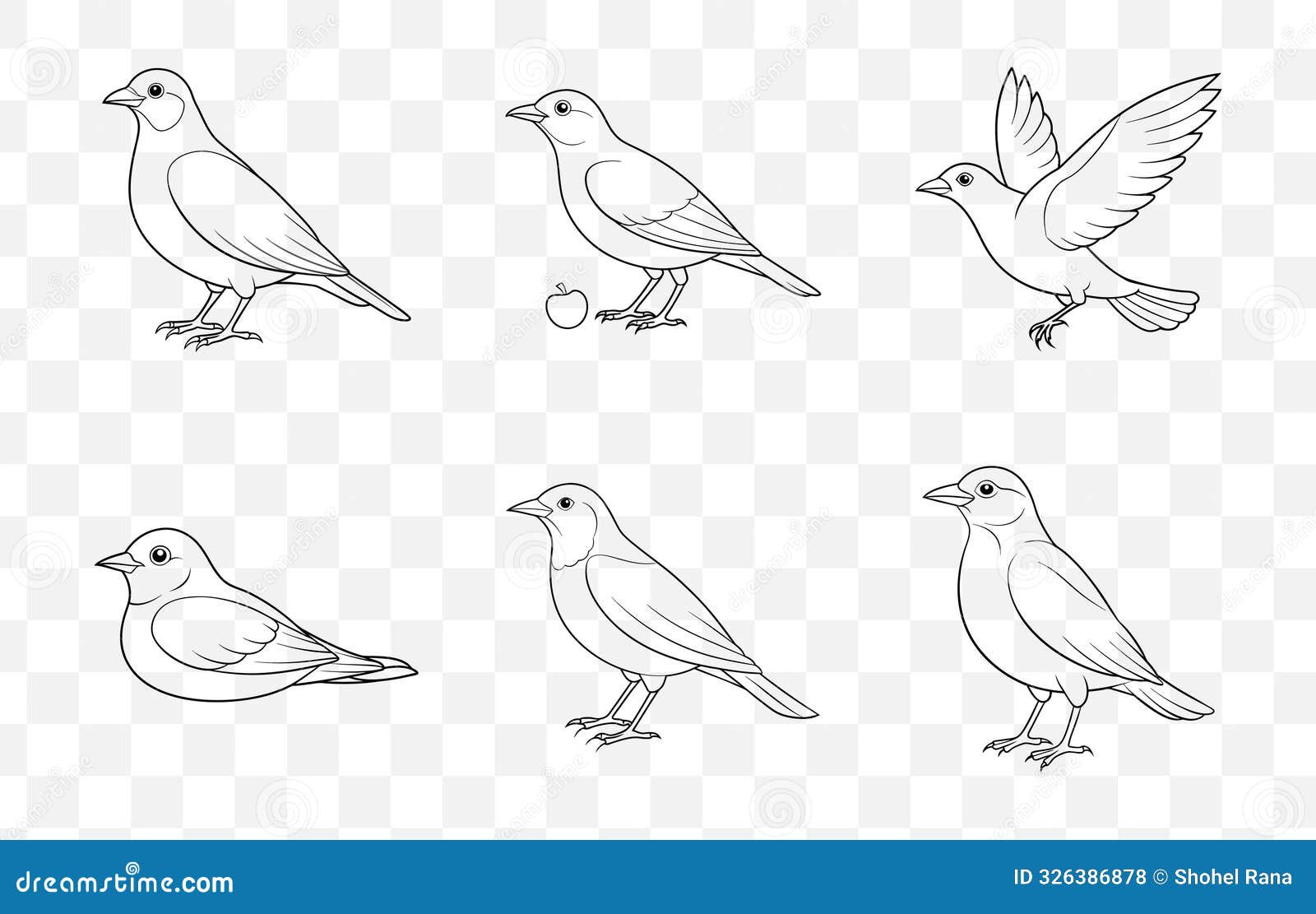 Blackbird Line Art Vector Set Intricate Illustrations of Blackbirds in ...