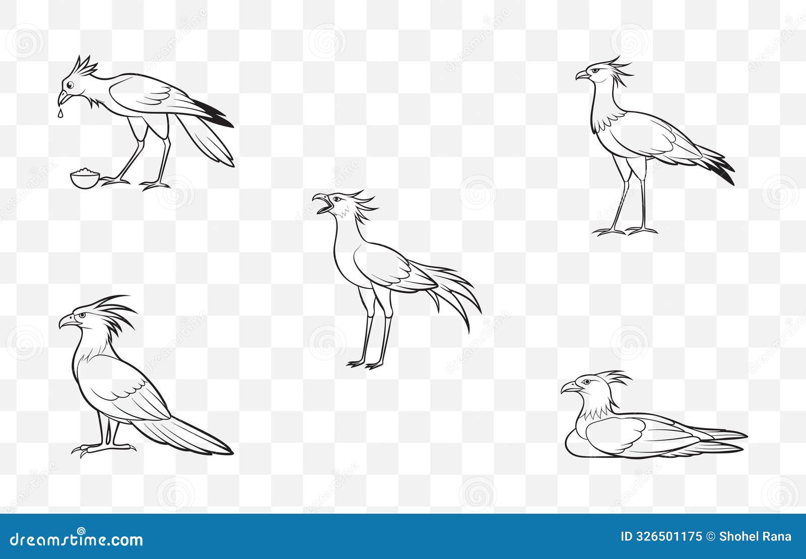 Print Elegant Secretary Bird Line Art Vector Collection for Unique and ...