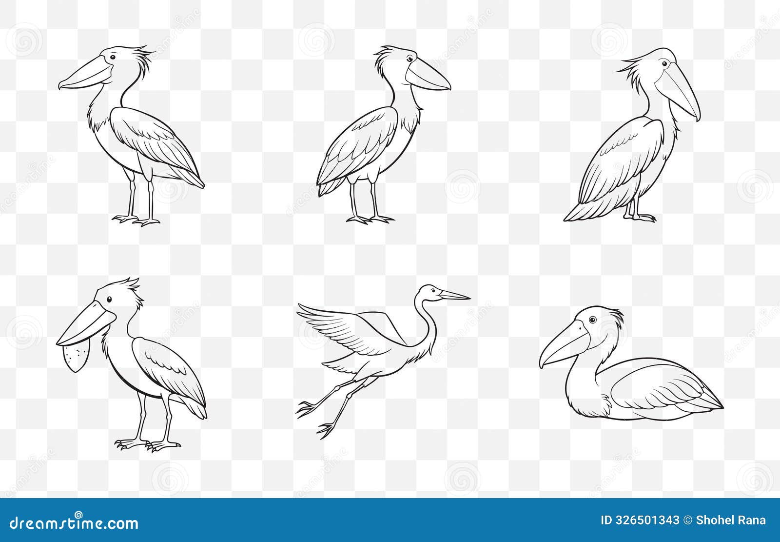 Print Comprehensive Merlin Line Art Vector Set Detailed Illustrations ...
