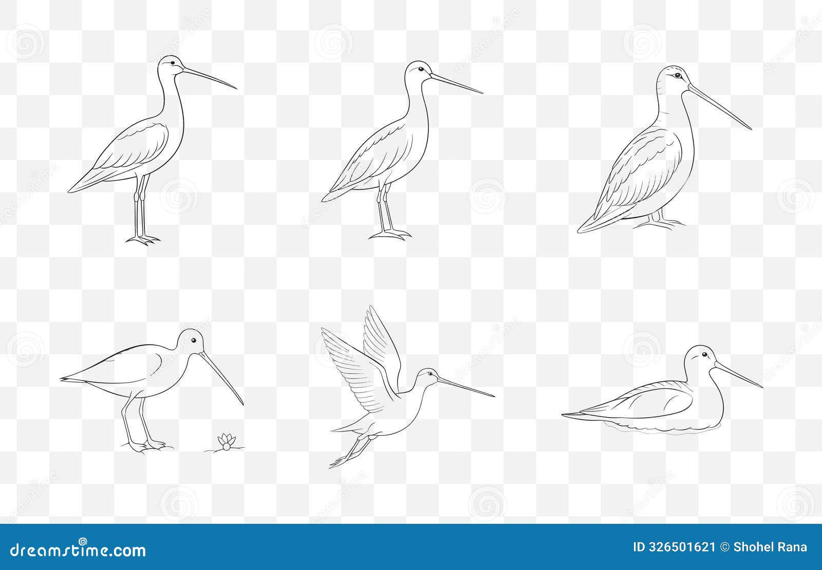 Print Comprehensive Merlin Line Art Vector Set Detailed Illustrations ...