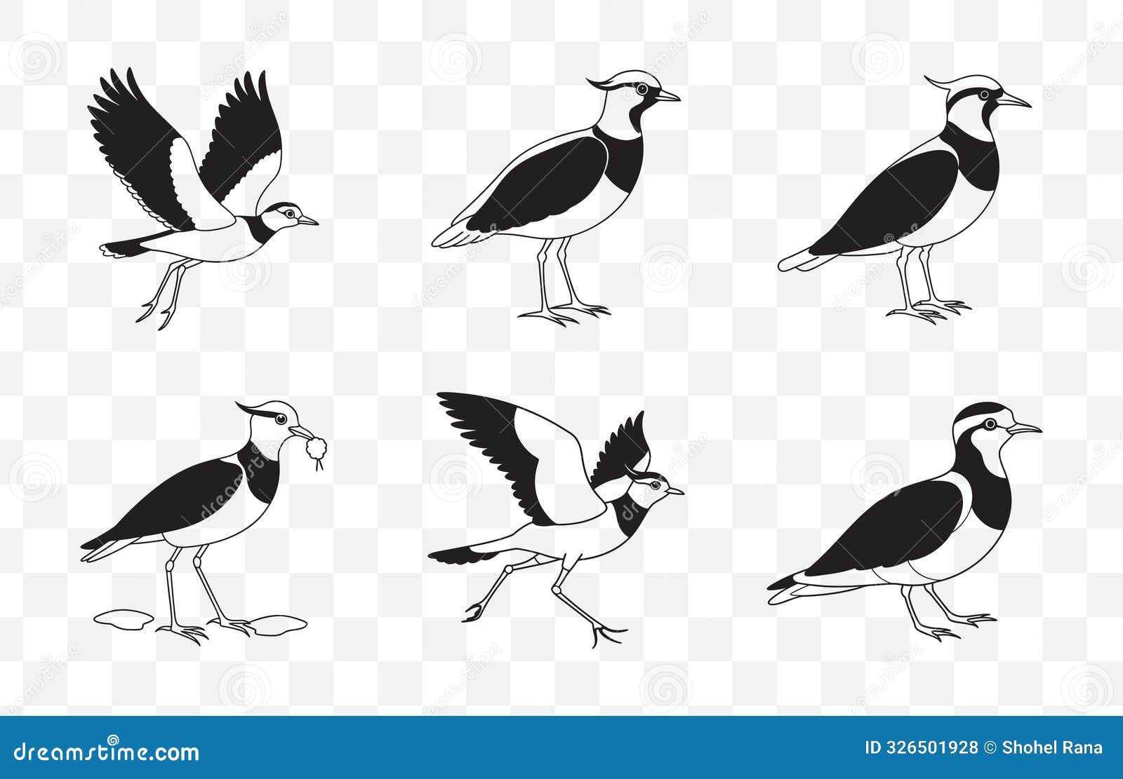 Lapwing Line Icon. Signs And Symbols Can Be Used For Web, Logo, Mobile ...