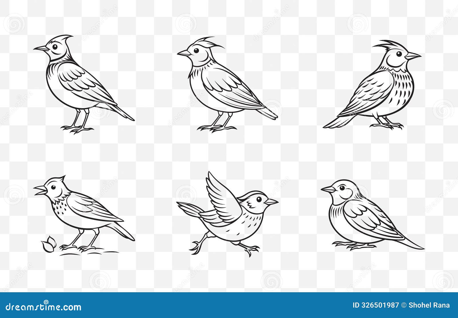 Print Lark Line Art Vector Set Beautifully Detailed Bird Illustrations ...